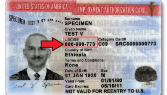 Where Is My Alien Registration Number or A number? - USA