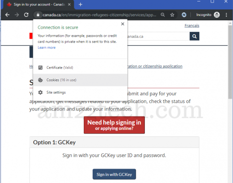Canada CIC Website Log-In Loop Fix - Takes Back to Language Selection ...